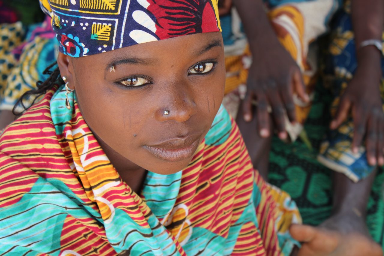 Alison Heller – SAPIENS