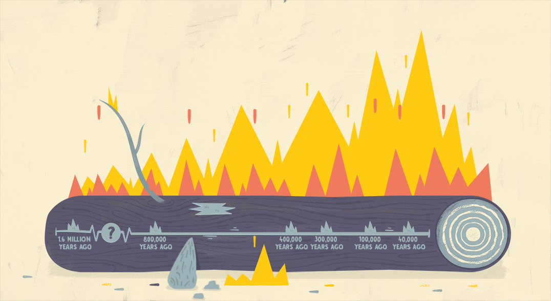 Uncovering Ancient Clues to Humanity’s First Fires – SAPIENS