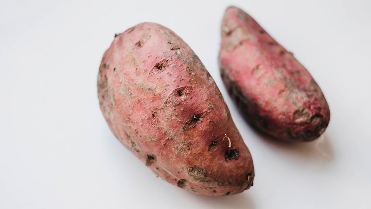 Scientists Find First Evidence of Humans Cooking Starches – SAPIENS