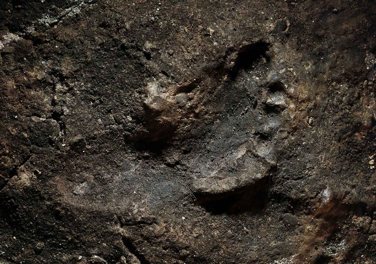 SAPIENS – Anthropology Magazine