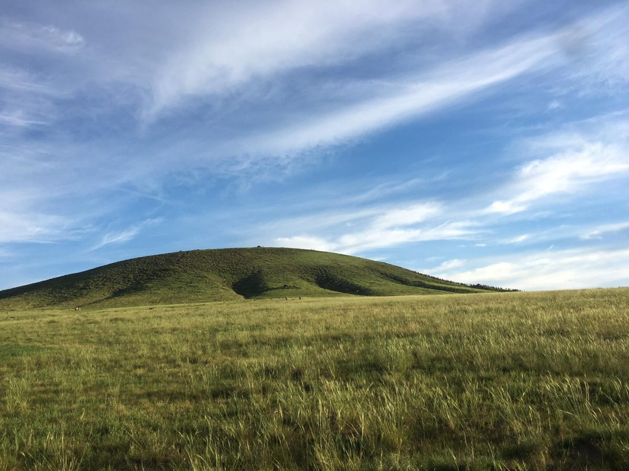 Jessica Madison Pískatá – SAPIENS