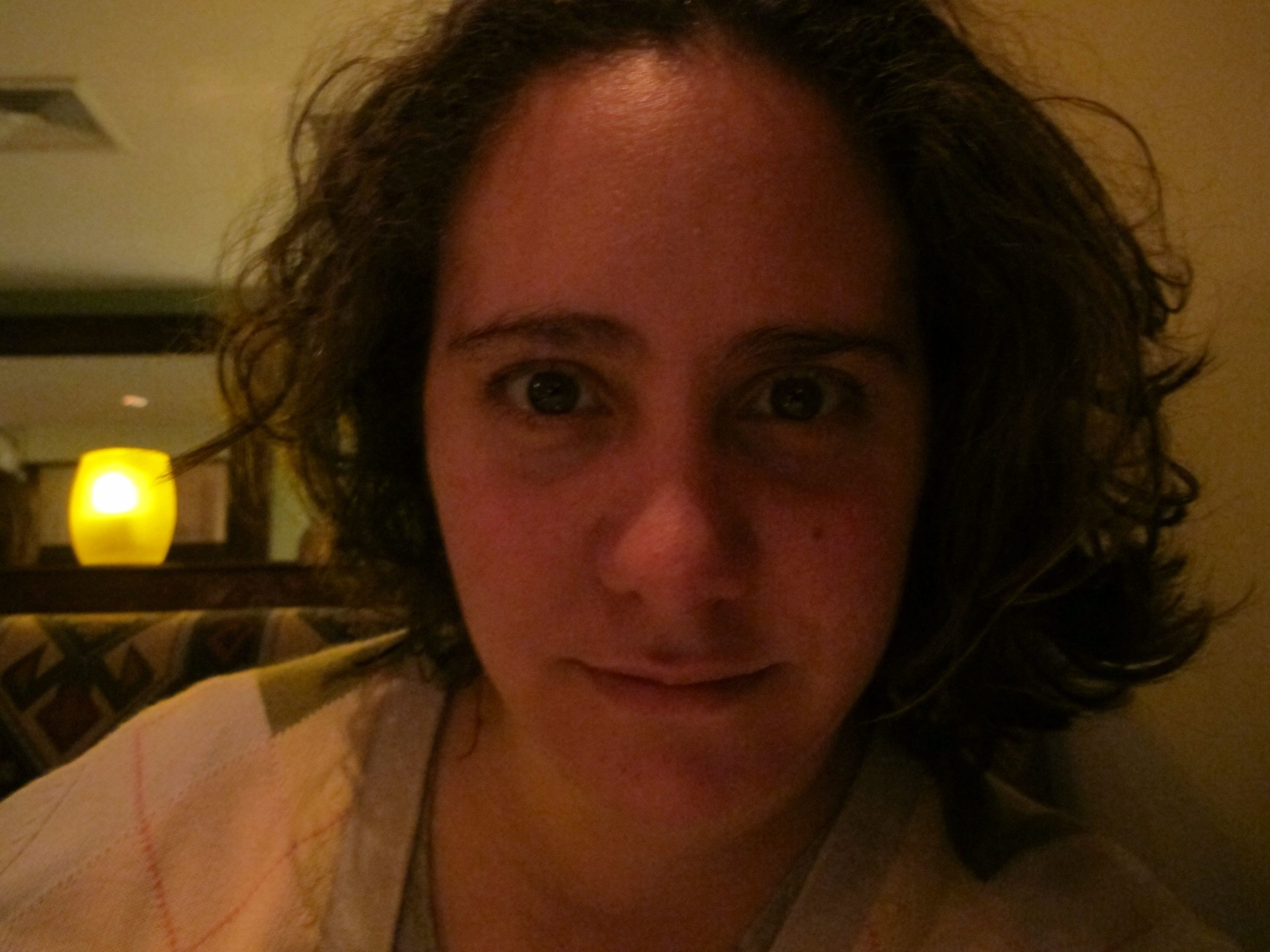 Shir Lerman Ginzburg – SAPIENS