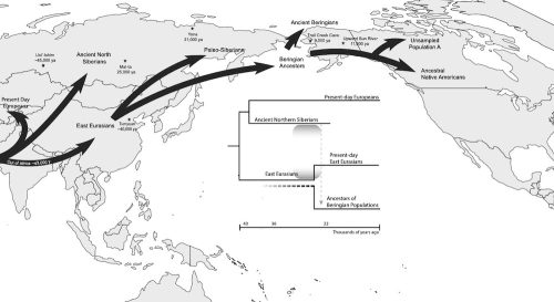 A Genetic Chronicle of the First Peoples in the Americas – SAPIENS