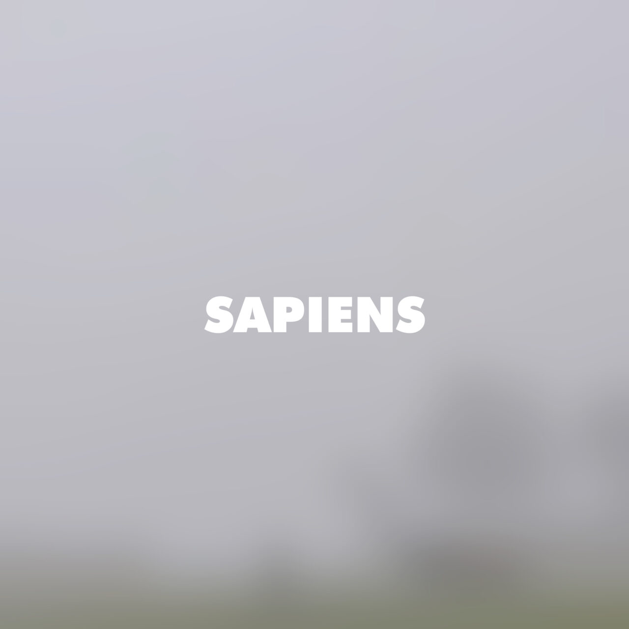 About SAPIENS Magazine