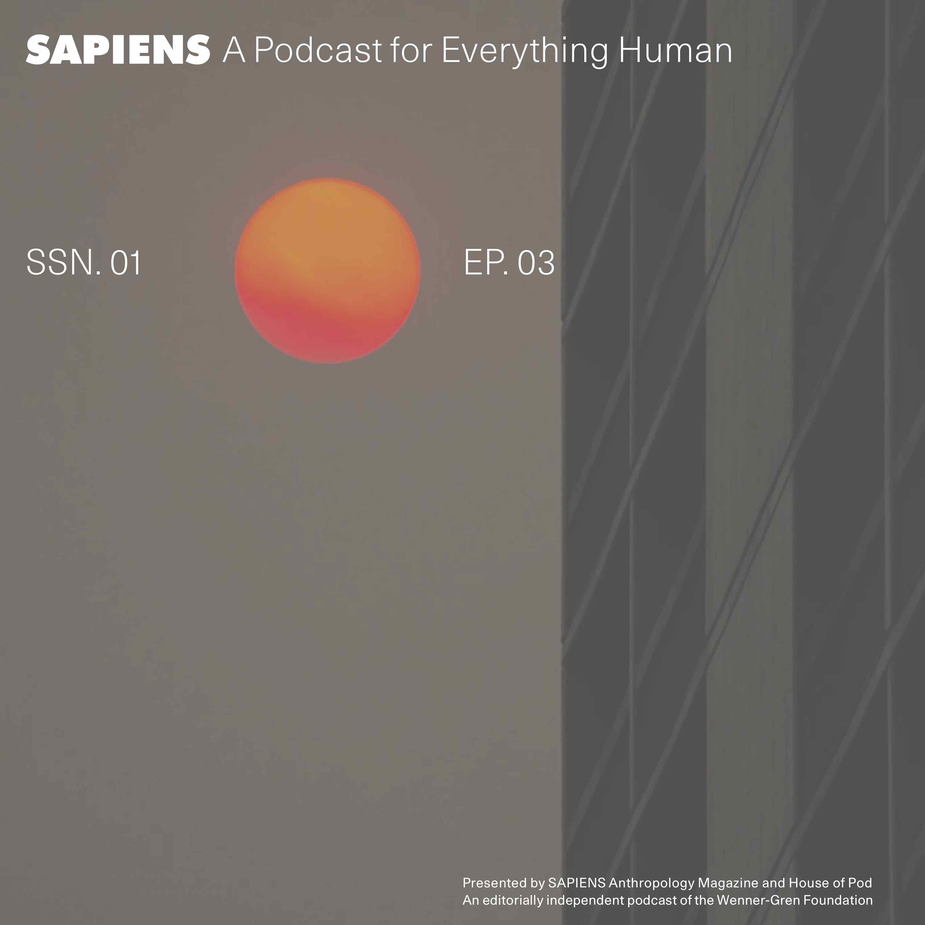 Season 1 – SAPIENS
