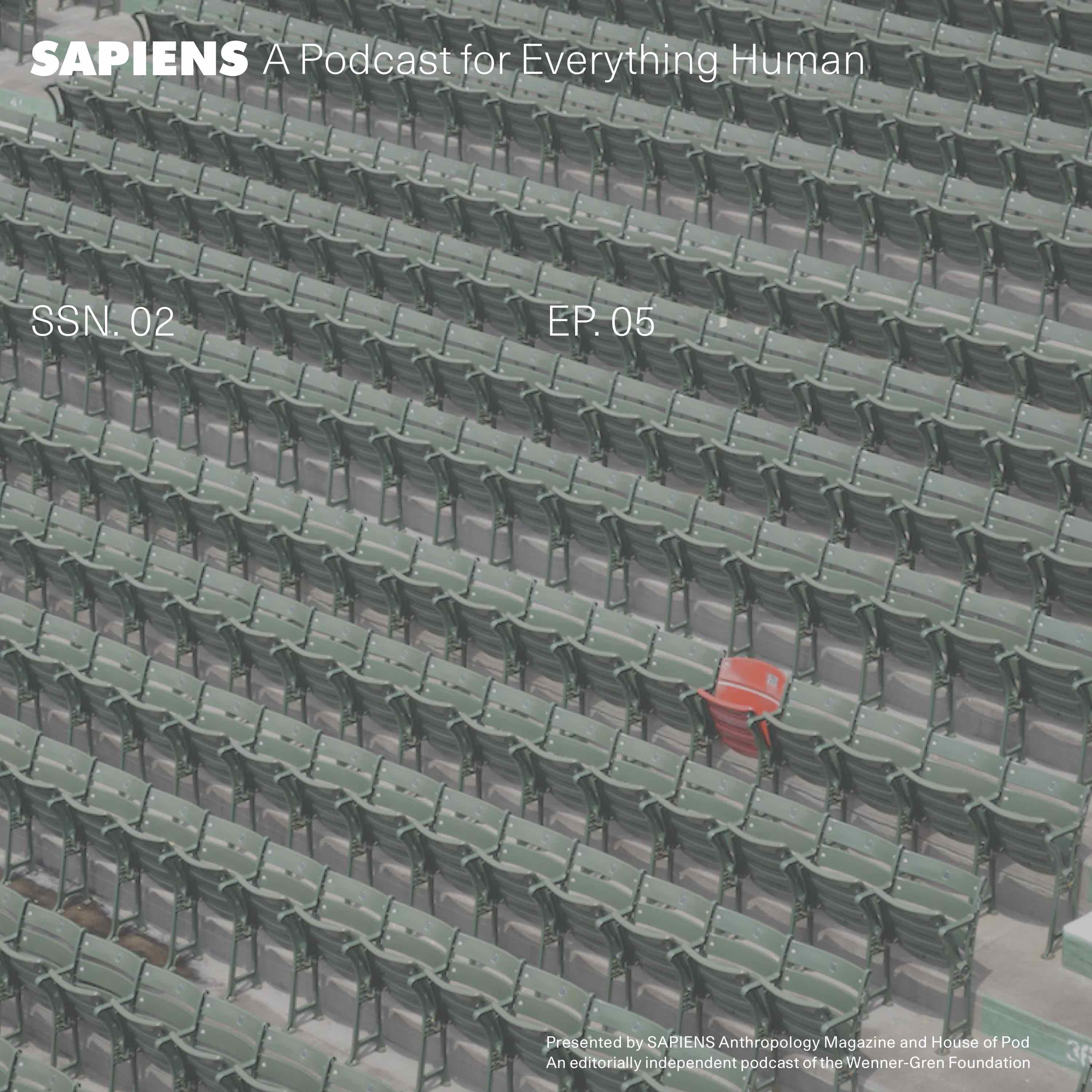 Are Colors Universal? – SAPIENS