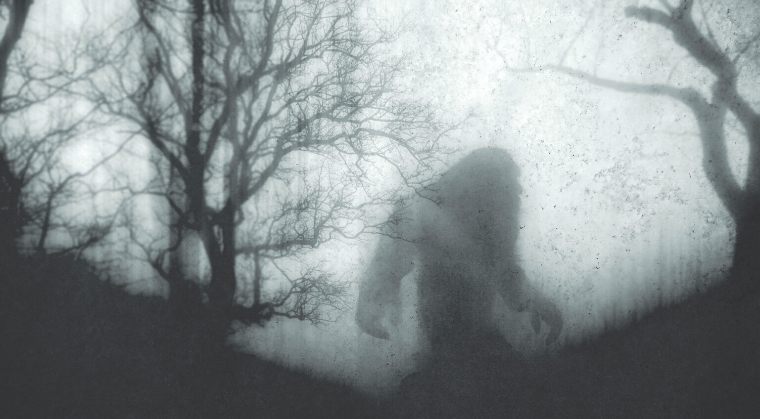 The Untold Story of Japan's First People – SAPIENS