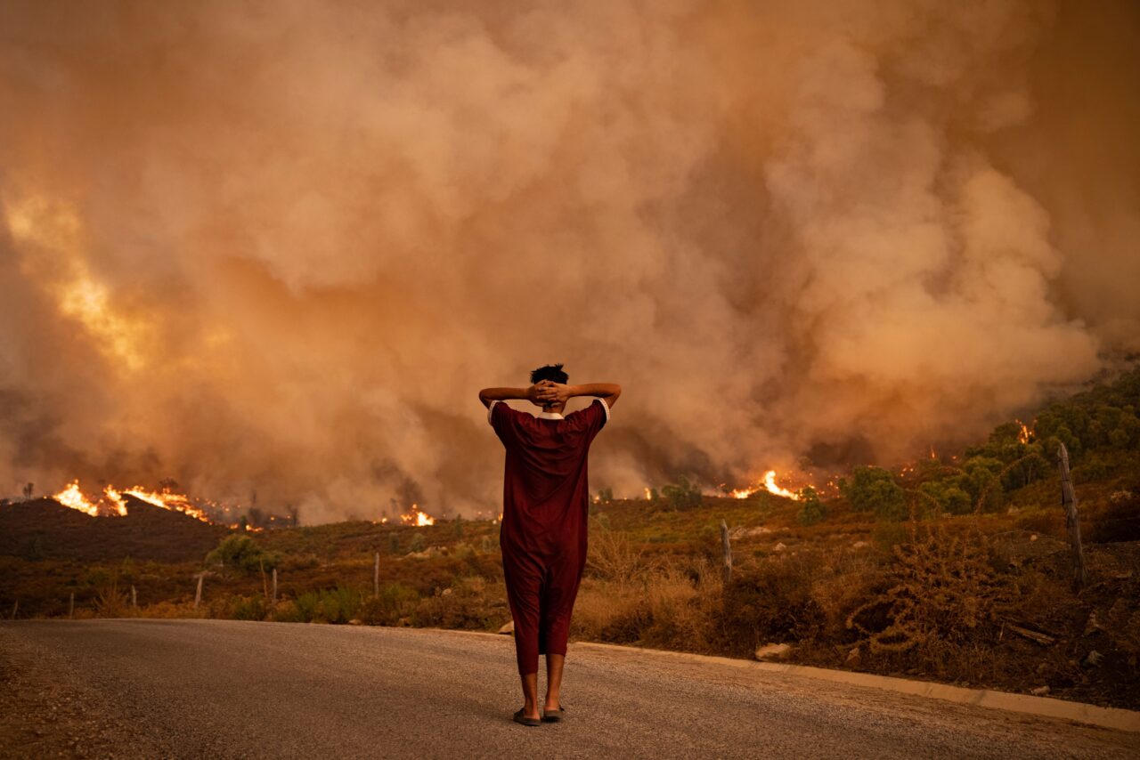 SAPIENS – Anthropology Magazine