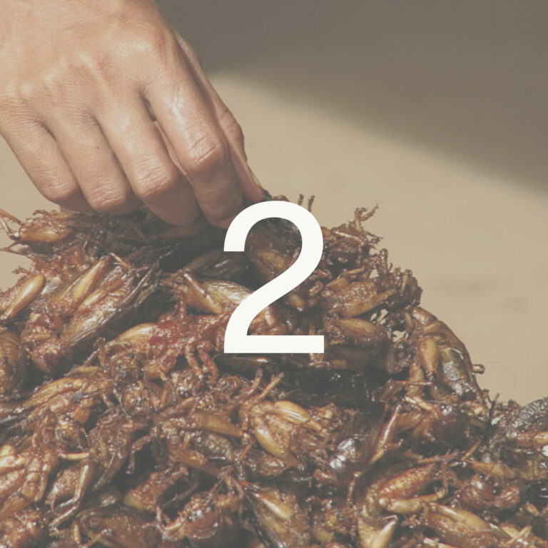 SAPIENS: A Podcast for Everything Human – SAPIENS