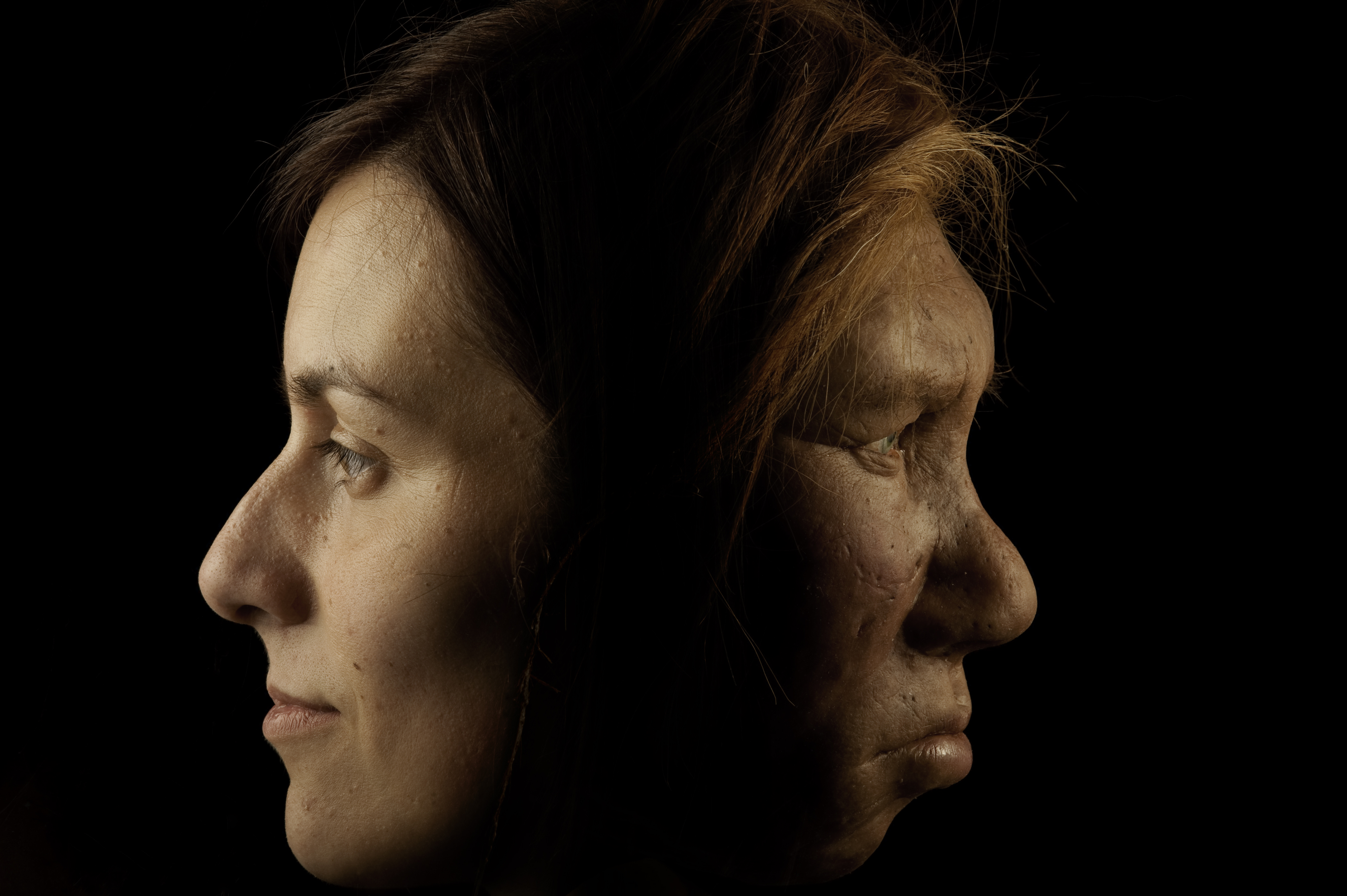 Neanderthal Face Reconstruction New Research Shows That Neanderthals