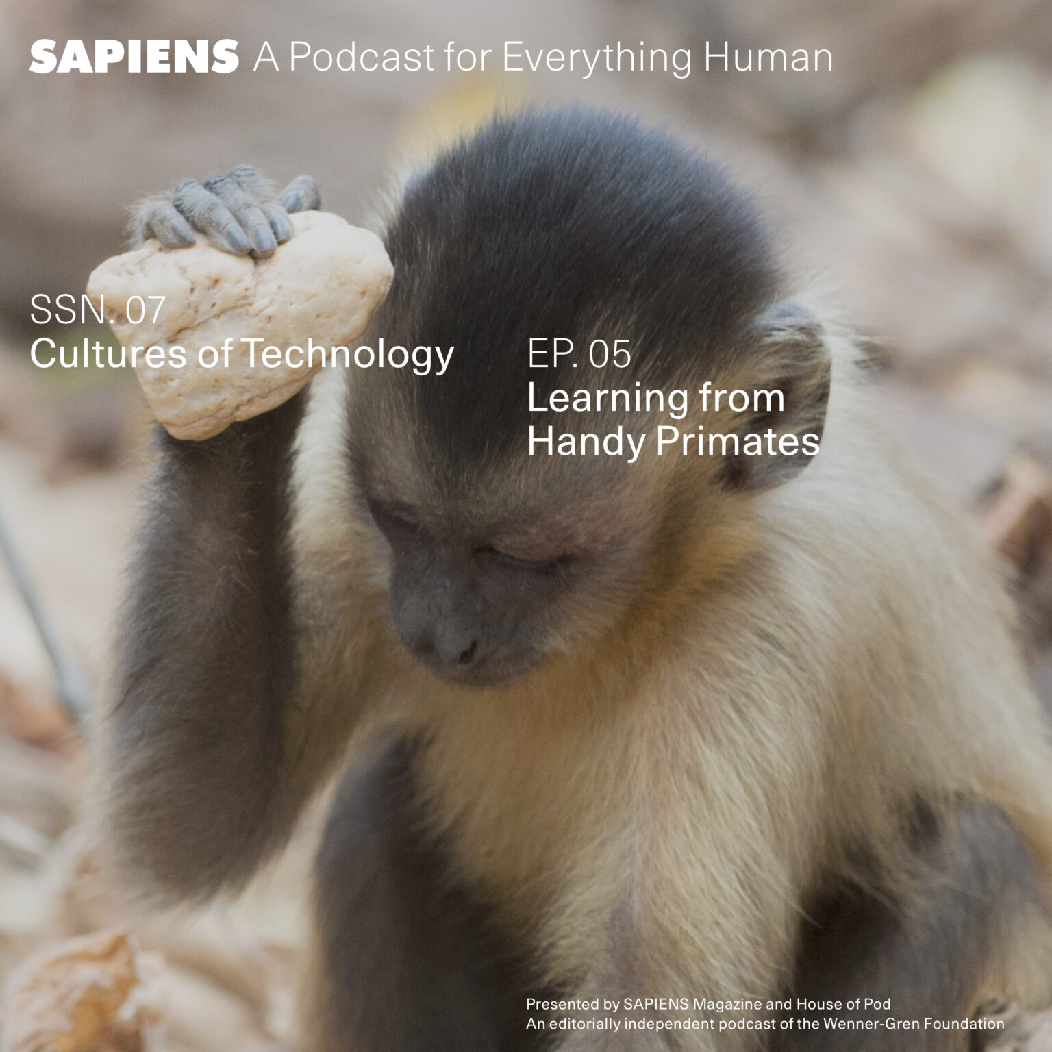 Biological Anthropology on SAPIENS Magazine