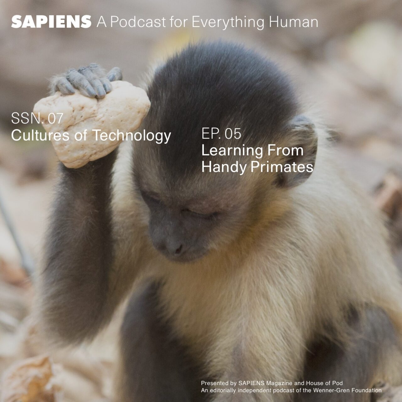 SAPIENS Podcast Season 7: Cultures of Technology – SAPIENS