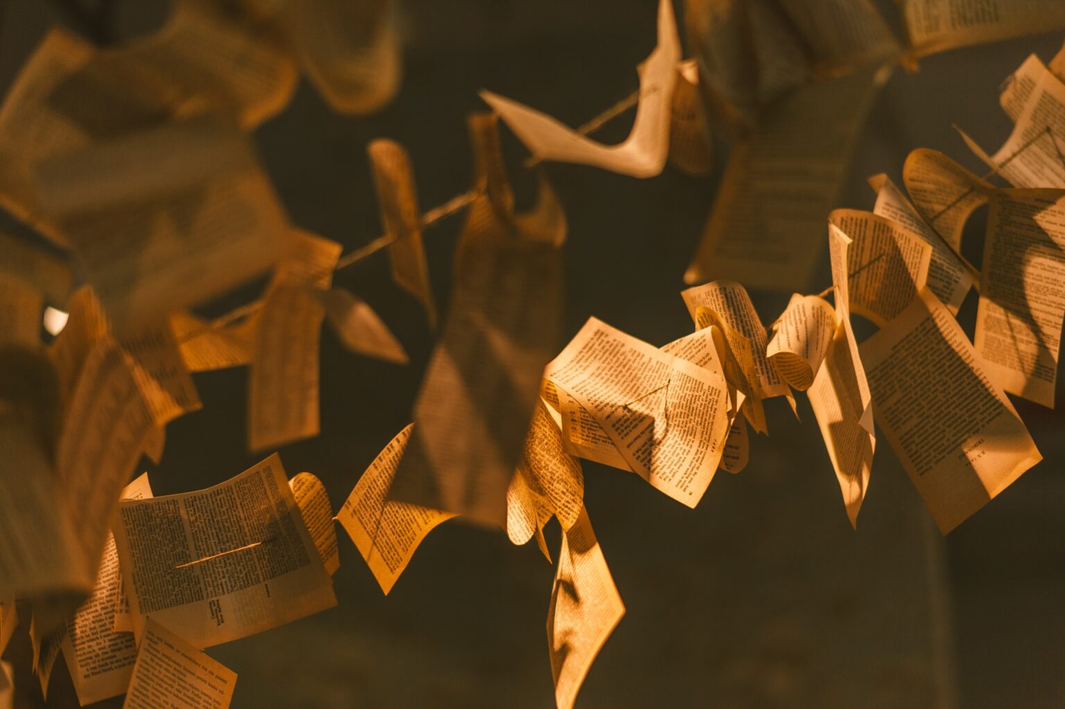 What If Neanderthals Had Outlived Homo Sapiens? – SAPIENS