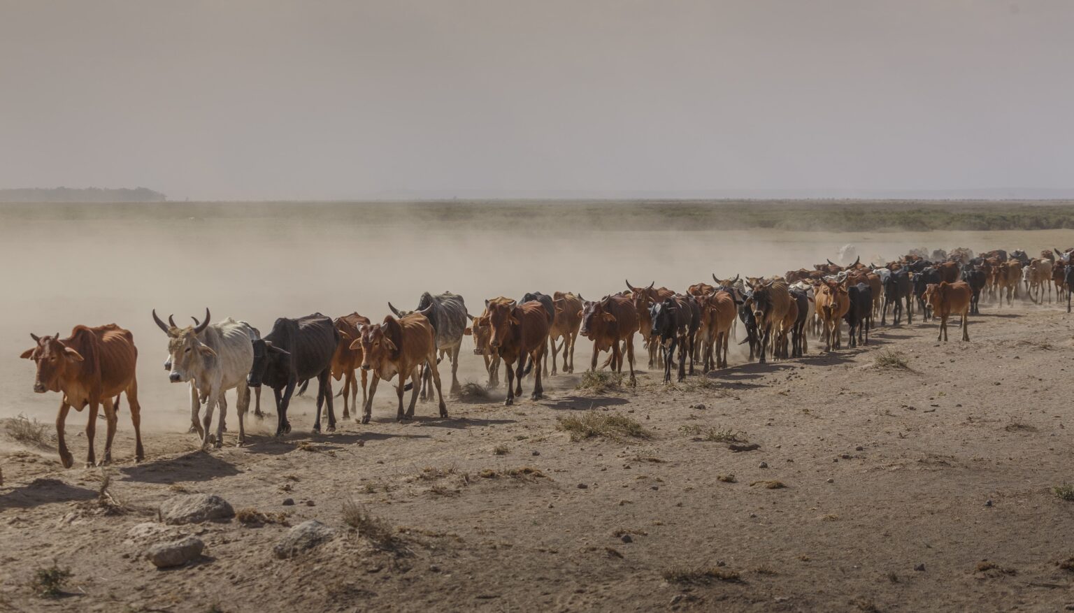 What the Vai Script Reveals About the Evolution of Writing – SAPIENS