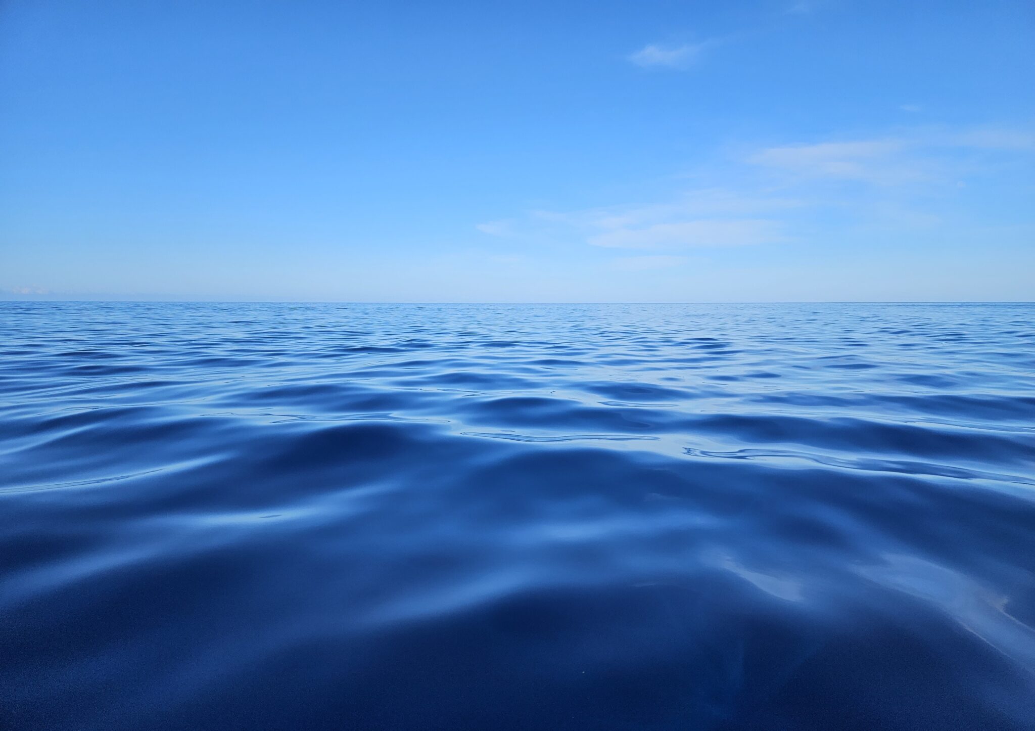 The Evolution of Throwing – SAPIENS