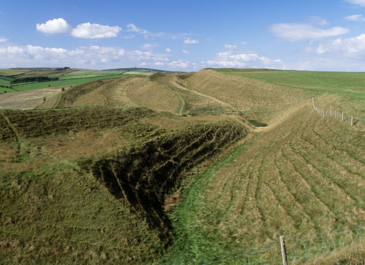 Unraveling the Mystery of Human Bipedality – SAPIENS