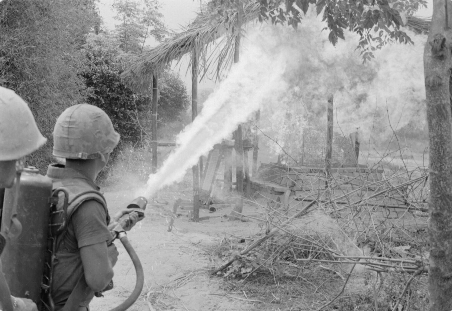 Why Are Humans Violent? – SAPIENS
