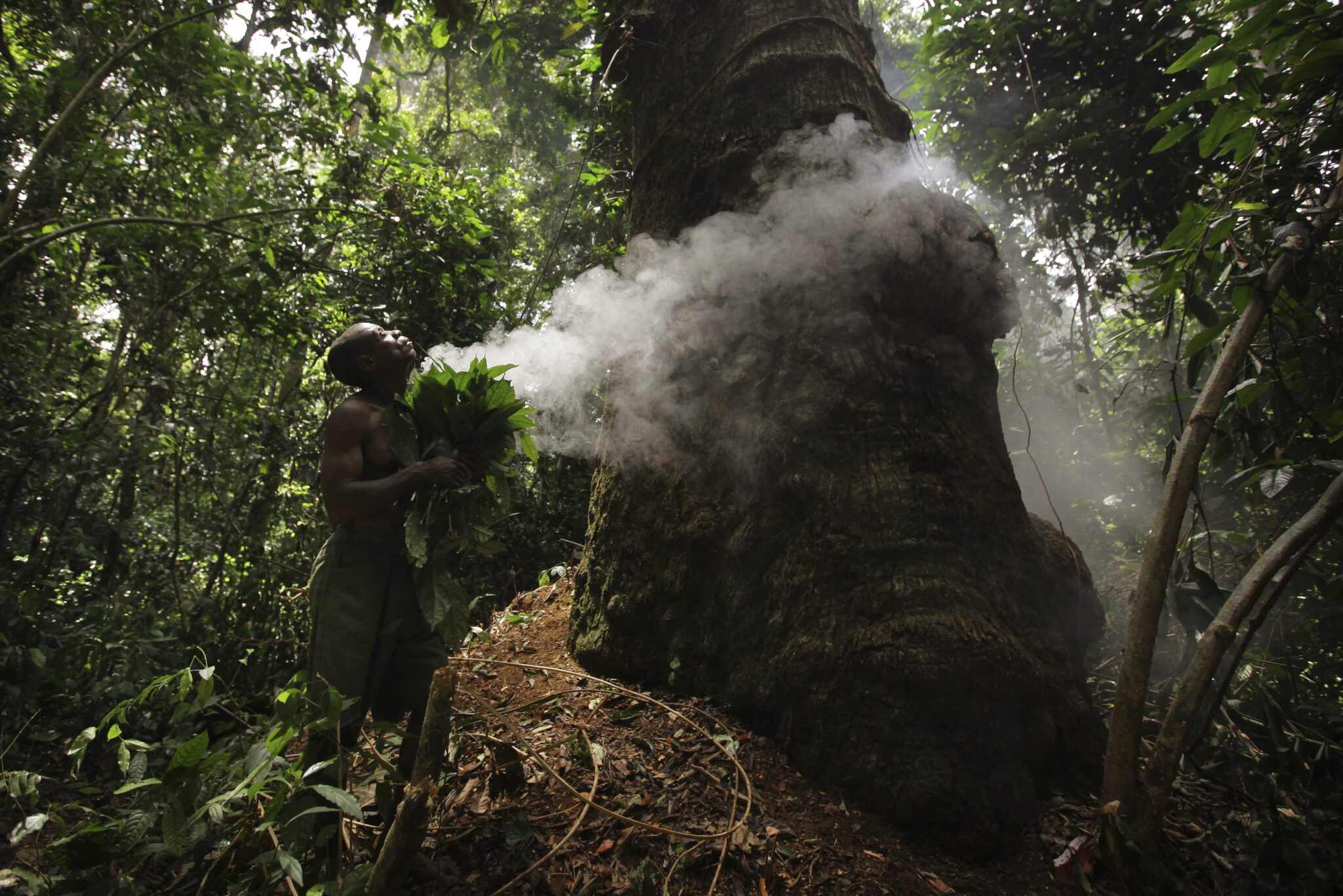 Did Human Evolution Begin in East Africa – SAPIENS