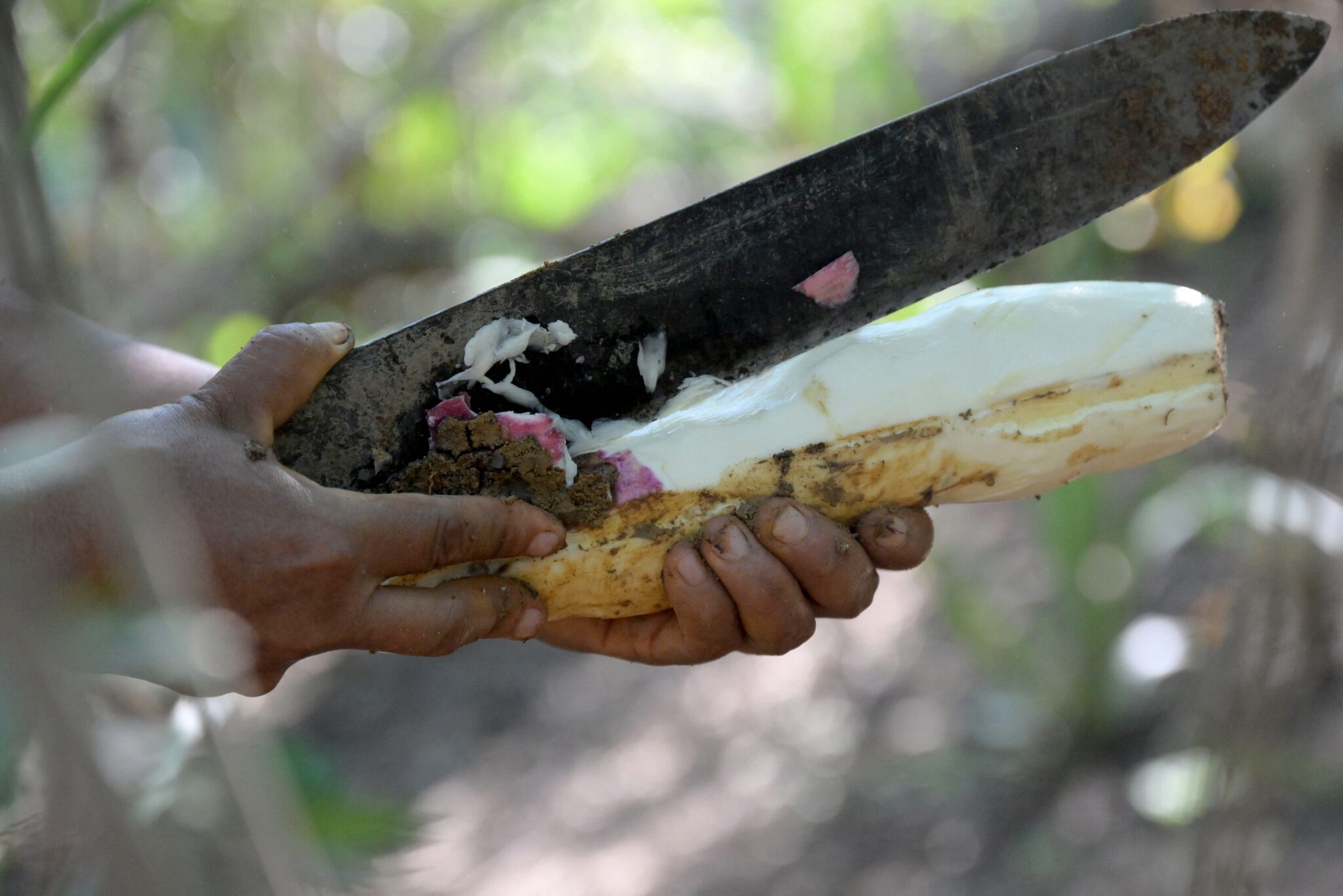 A Real Archaeologist Explains What Indiana Jones Gets Right